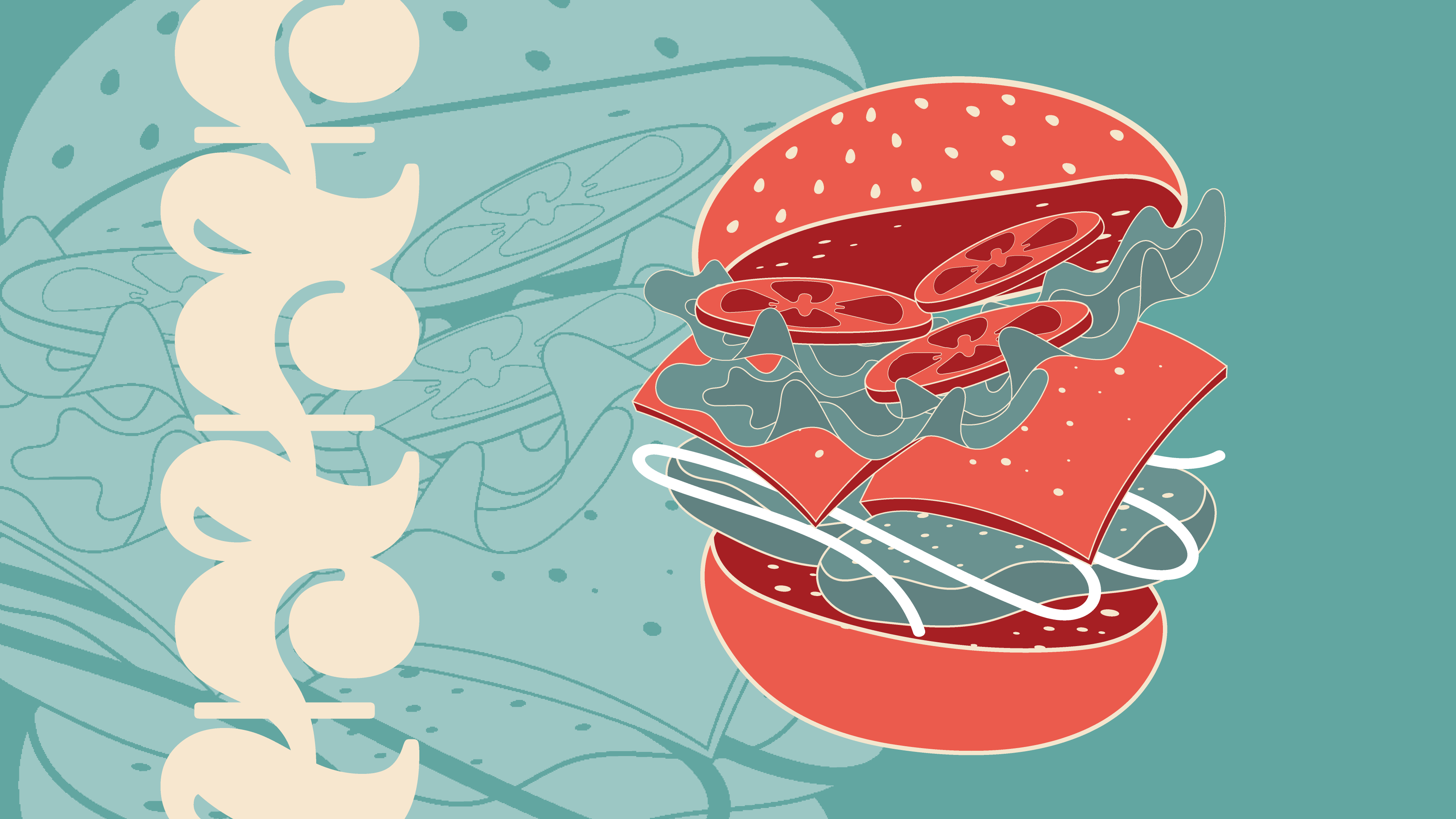 Best Buns in Town: Round up of the top burger joints in Manchester ...