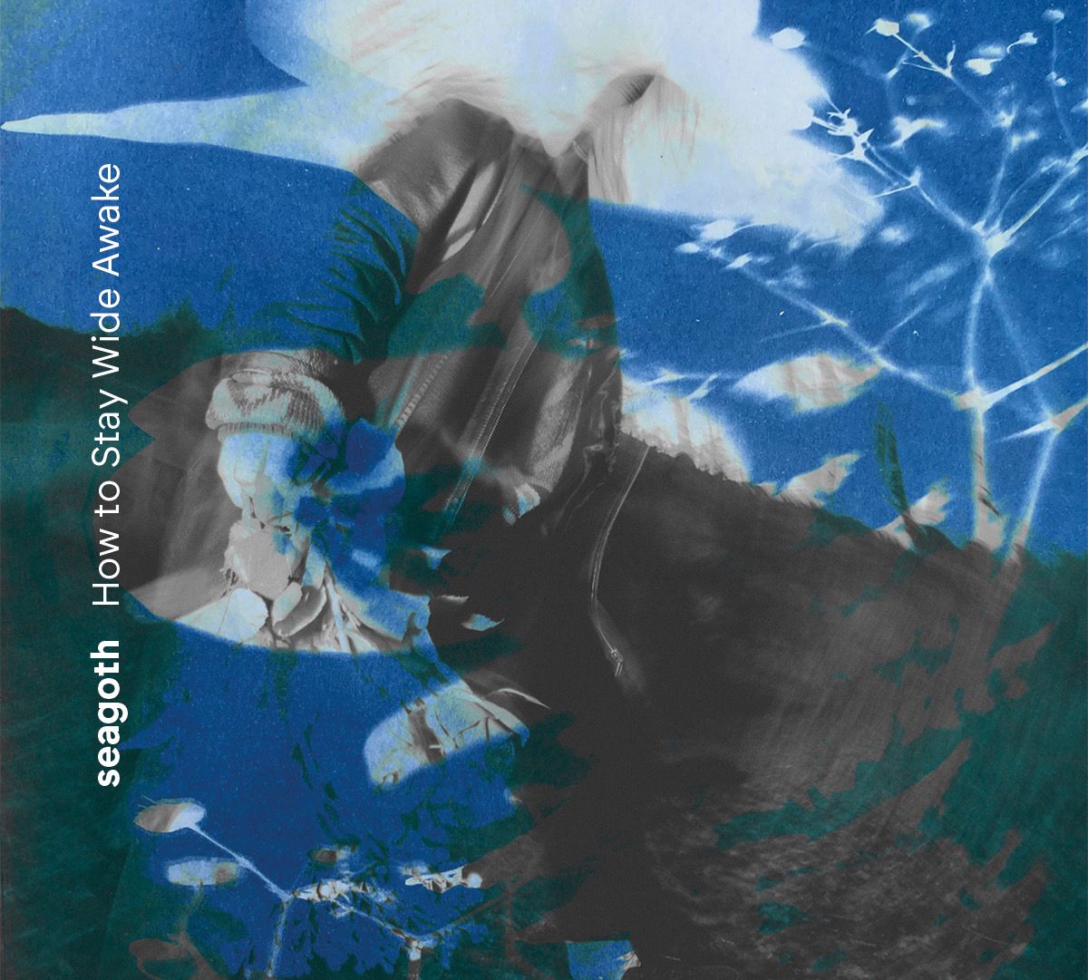 Album review: Seagoth – How to Stay Wide Awake - aAh! Magazine